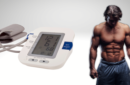 Nutrition & Supplements - Steroidify Blog