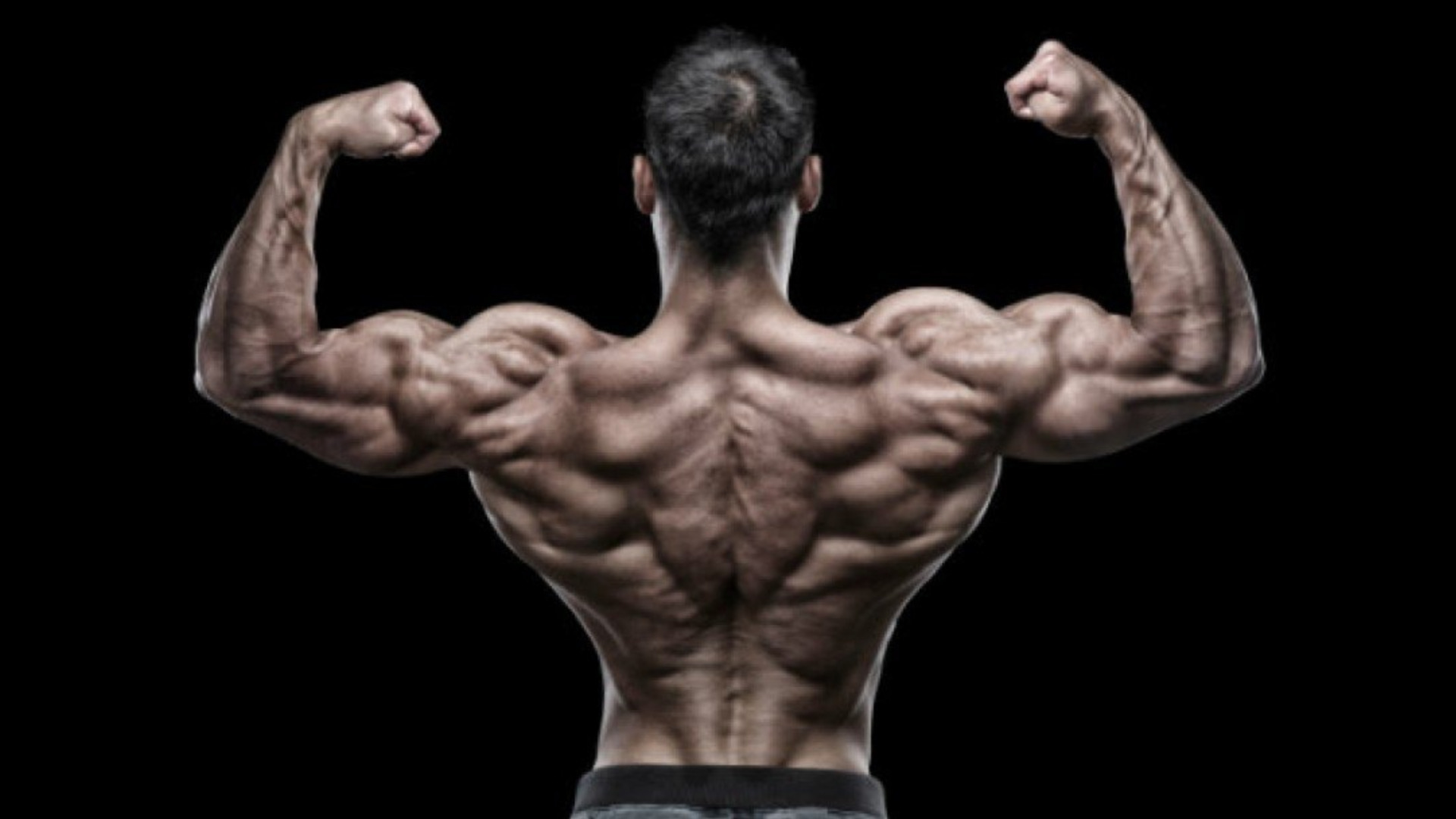 Tips and exercises for a strong back - Steroidify Blog