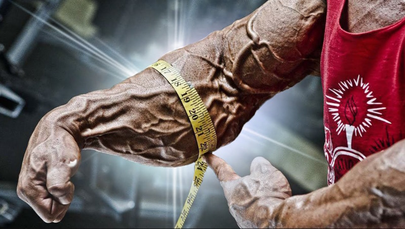 Make your calves and forearms grow – Exercises and Tips - Steroidify Blog