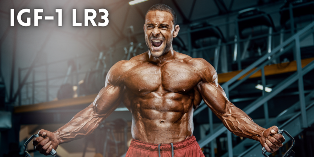 IGF-1 LR3 101 - Steroidify Blog